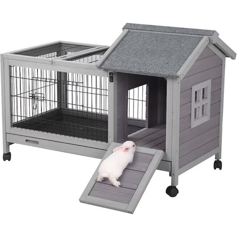 9 Best Indoor Rabbit Cages in 2025 - Reviews & Top Picks | The Vet Desk