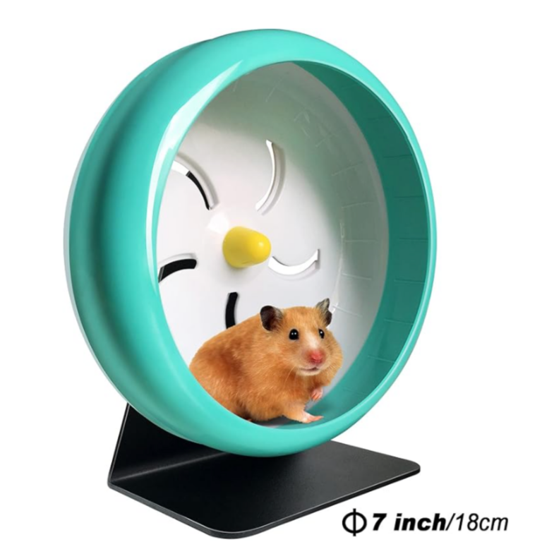 10 Best Hamster Wheels in 2026: Reviews, Top Picks & Vet-Approved Tips ...