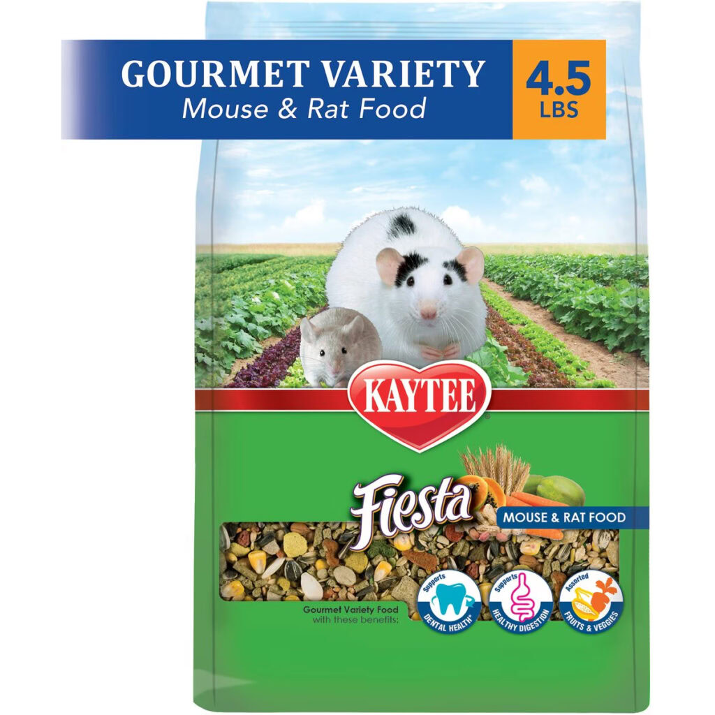 10 Best Foods for Pet Rats in 2026 – Reviews & Top Picks | The Vet Desk