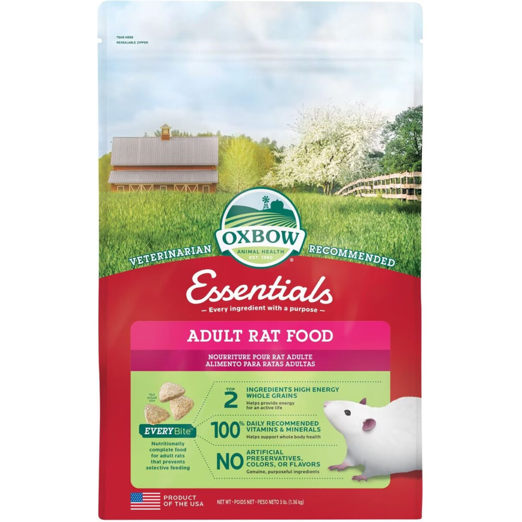 10 Best Foods for Pet Rats in 2026 – Reviews & Top Picks | The Vet Desk