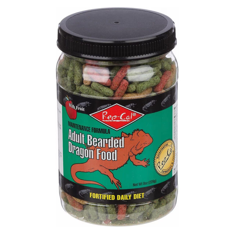 10 Best Foods for Bearded Dragons 2026 – Reviews & Top Picks | The Vet Desk