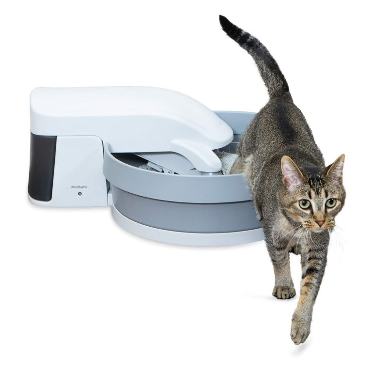 6 Best Automatic Cat Litter Boxes for Self-Cleaning in 2026 – Reviews ...