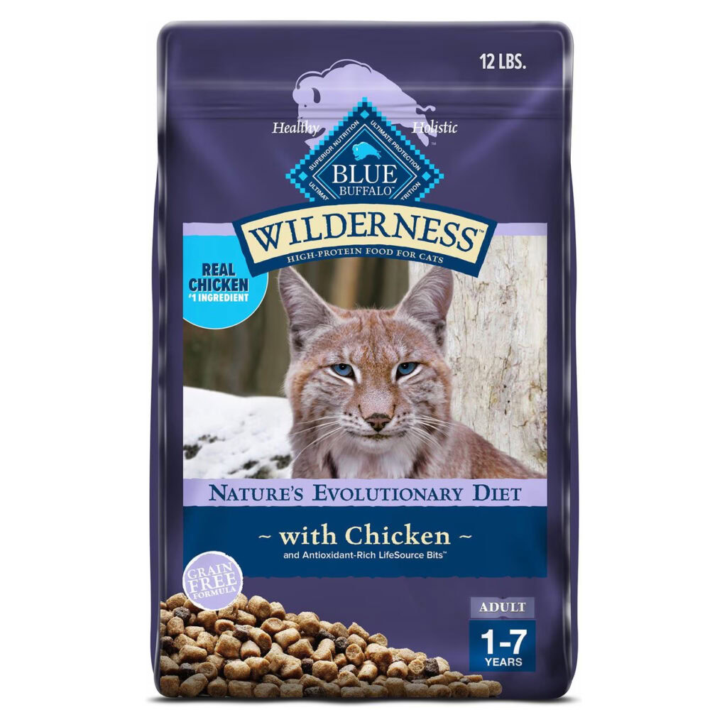 9 Best Dry Cat Foods in 2026 - Reviews & Top Picks | The Vet Desk