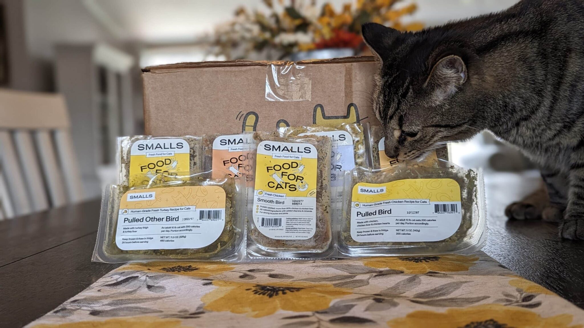 10 Best Cat Foods for Bengals in 2025 - Reviews & Top Picks | The Vet Desk