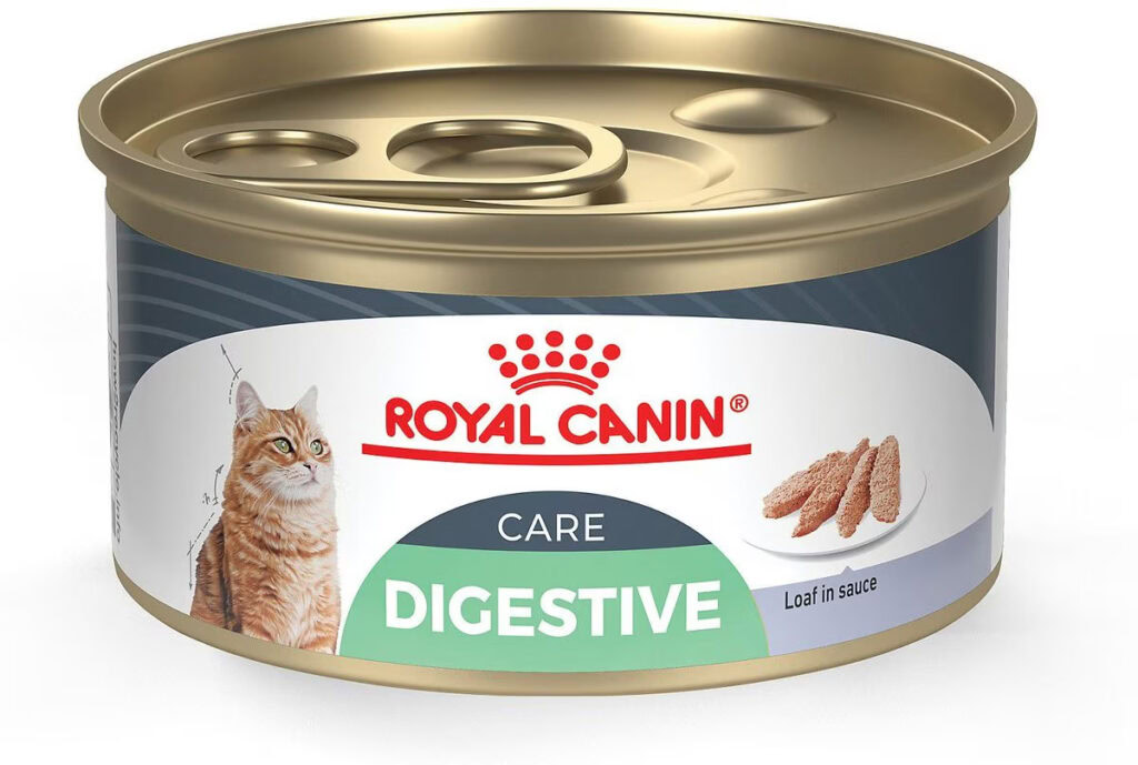 9 Best Cat Foods for Irritable Bowel Syndrome (IBS) in 2026 - Reviews ...