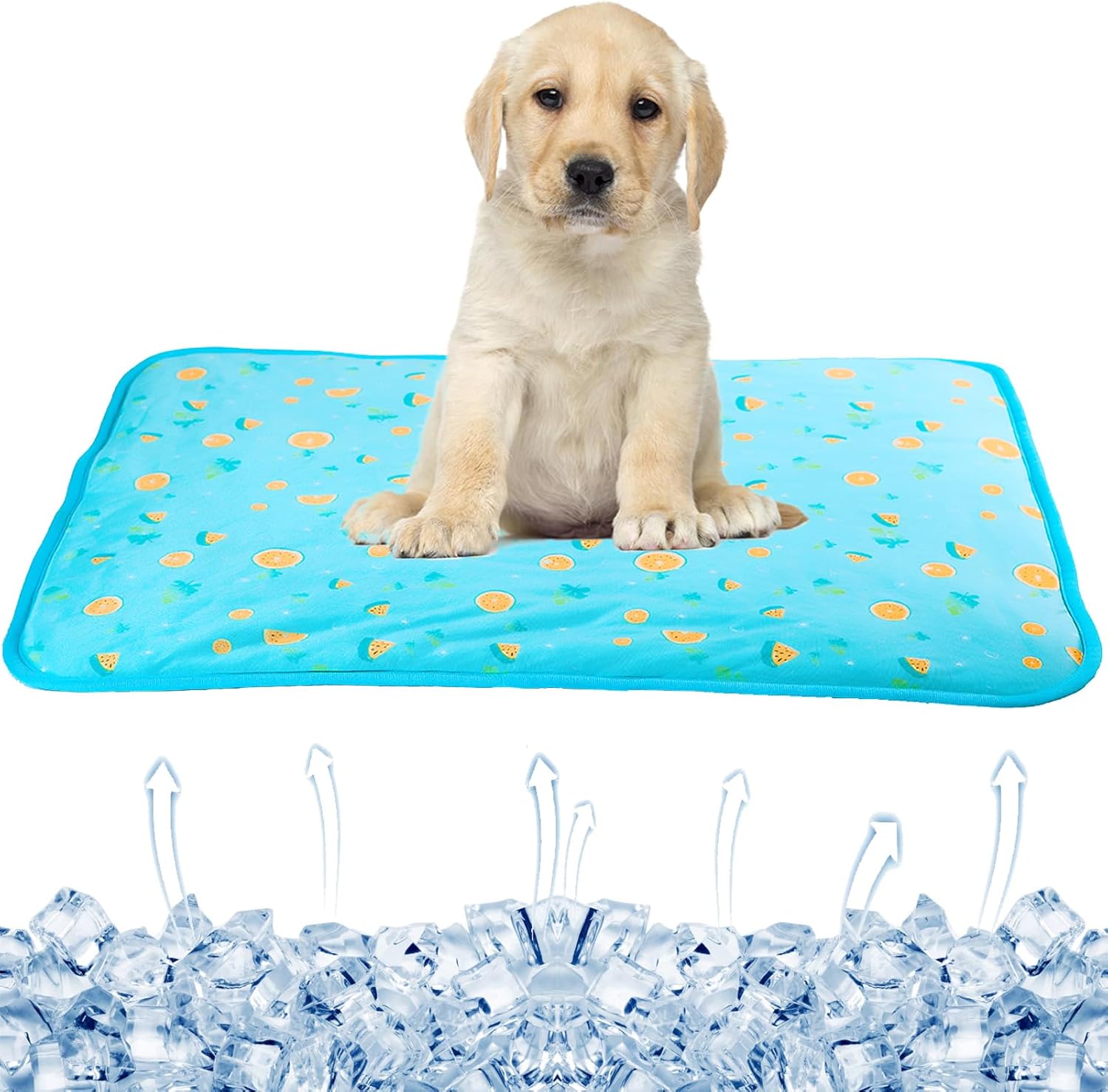 10 Best Cat Cooling Mats & Pads in 2026 - Reviews & Top Picks | The Vet ...