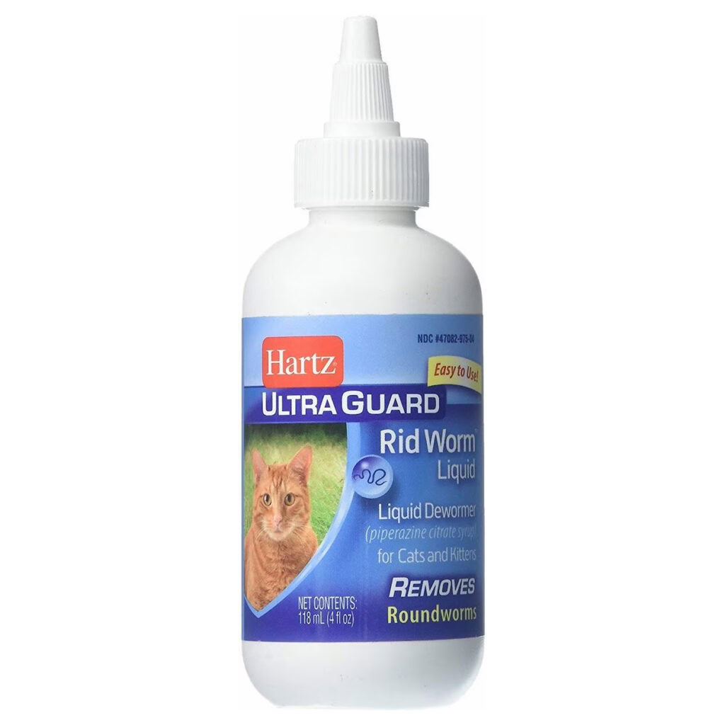 7 Best Cat Dewormers of 2026 – Reviews & Top Picks | The Vet Desk