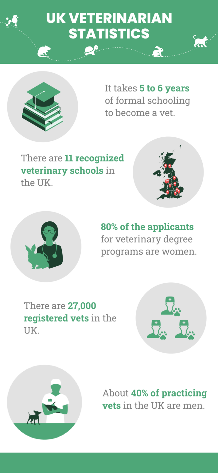 11 Interesting UK Vet Statistics & Facts to Know in 2026 | The Vet Desk