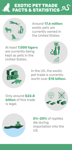 11 Disheartening Exotic Pets Statistics to Know in 2026: Ownership ...