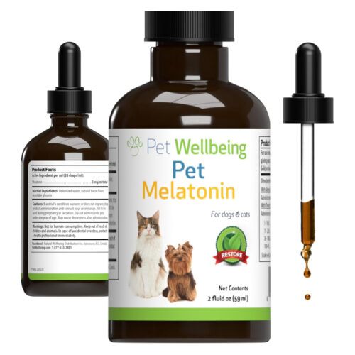10 Best Melatonin Supplements for Dogs in 2026 - Reviews & Top Picks ...