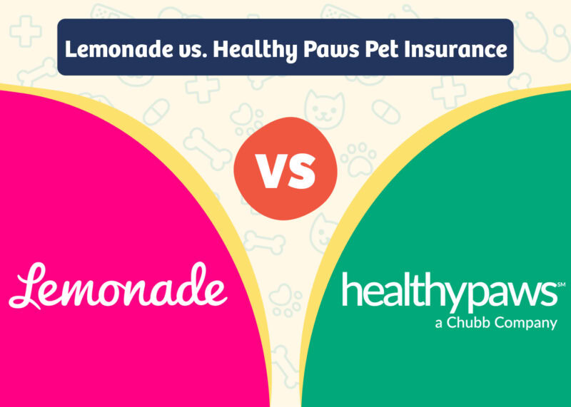 Lemonade vs. Healthy Paws Pet Insurance Comparison 2026: Pros, Cons ...