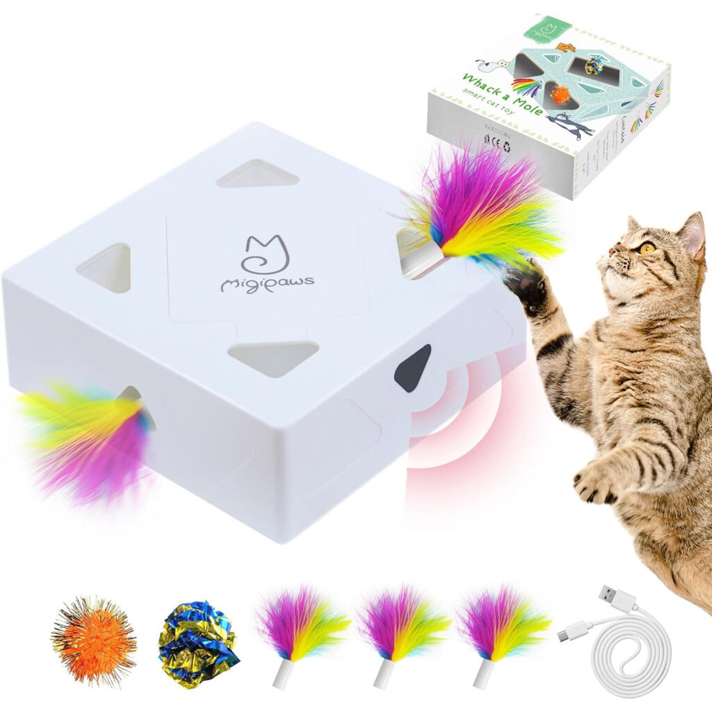 10 Best Cat Toys for Smart Cats in 2026 - Reviews & Top Picks | The Vet ...