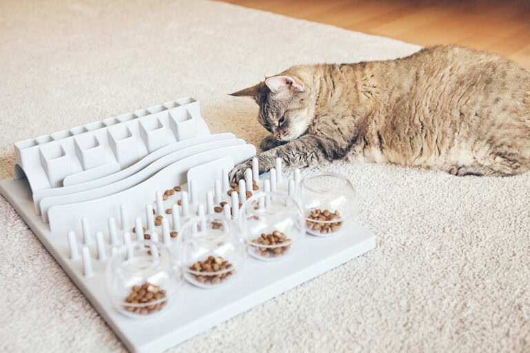 10 Best Cat Toys for Smart Cats in 2026 - Reviews & Top Picks | The Vet ...