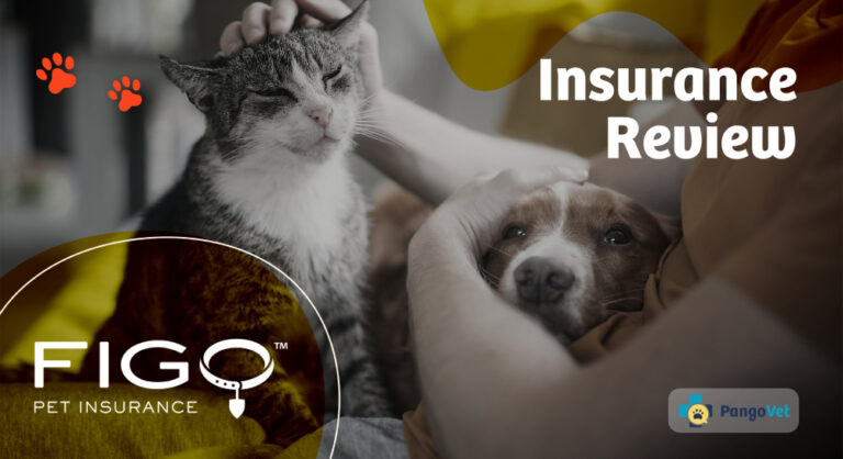 Figo Pet Insurance Review 2026: Pros, Cons & Verdict | The Vet Desk