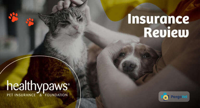 Healthy Paws Pet Insurance Review 2026: Pros, Cons & Verdict | The Vet Desk