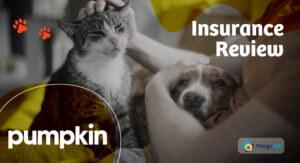 Pumpkin Pet Insurance Review 2026: Pros, Cons & Verdict | The Vet Desk