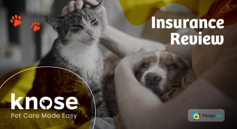 Knose Pet Insurance Review 2026: Pros, Cons, FAQ & Verdict | The Vet Desk