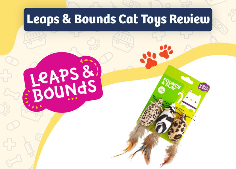 Leaps & Bounds Cat Toys Review 2026: Pros, Cons & Verdict | The Vet Desk