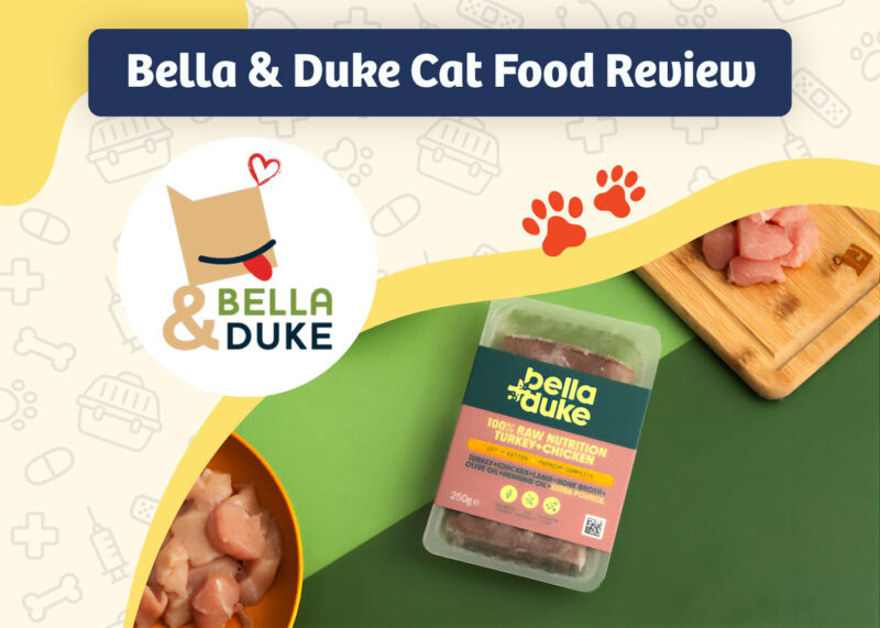 Bella & Duke Cat Food Review 2026: Our Expert's Opinion | The Vet Desk