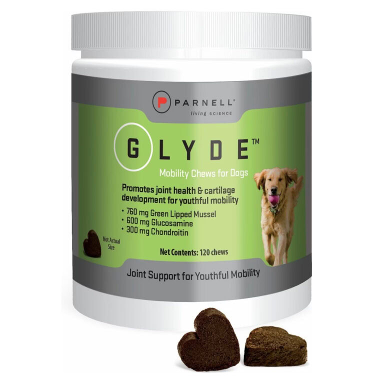 8 Best Green-Lipped Mussel Supplements for Dogs in 2025 — Reviews & Top ...