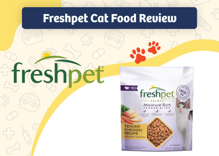 Freshpet Cat Food Review 2026: Recalls, Pros & Cons | The Vet Desk