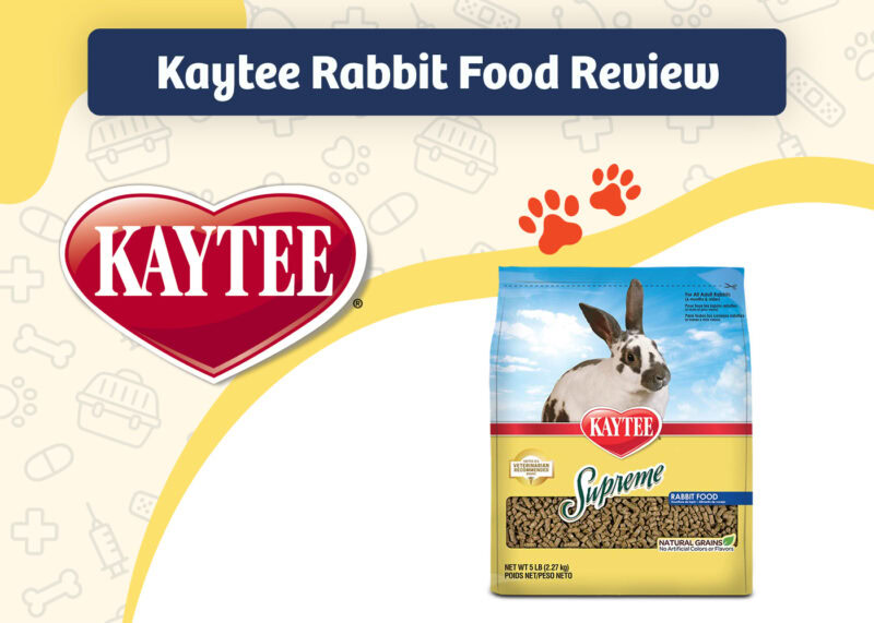 Kaytee Rabbit Food Review 2026: Recalls, Pros & Cons | The Vet Desk
