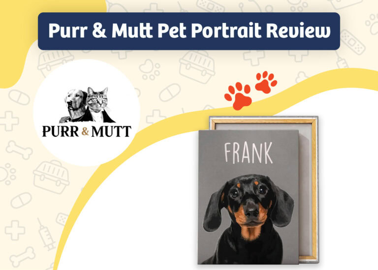 Purr & Mutt Pet Portrait Review 2026: Our Expert's Opinion | The Vet Desk