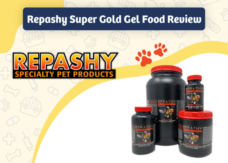 Repashy Super Gold Gel Food Review 2025 - Buyer's Guide & Tutorial ...