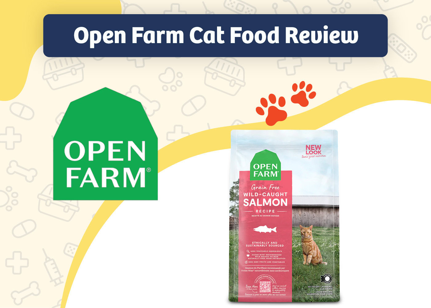 Can Dogs Eat Bread? Vet-Reviewed Nutrition Facts & FAQ | The Vet Desk