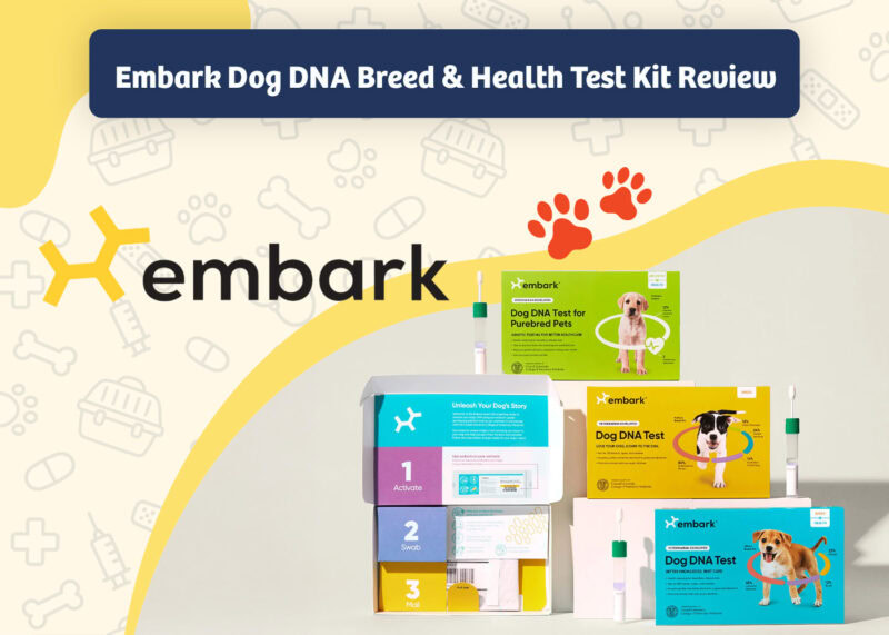 Embark Dog DNA Breed & Health Test Kit Review 2026: Our Expert’s ...
