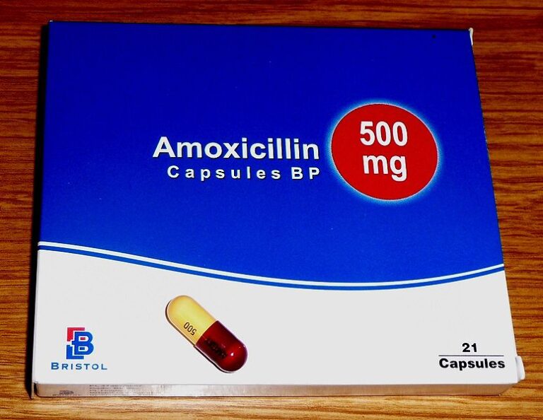 Amoxicillin for Cats: Uses & Potential Side Effects (Vet Answer) | The ...