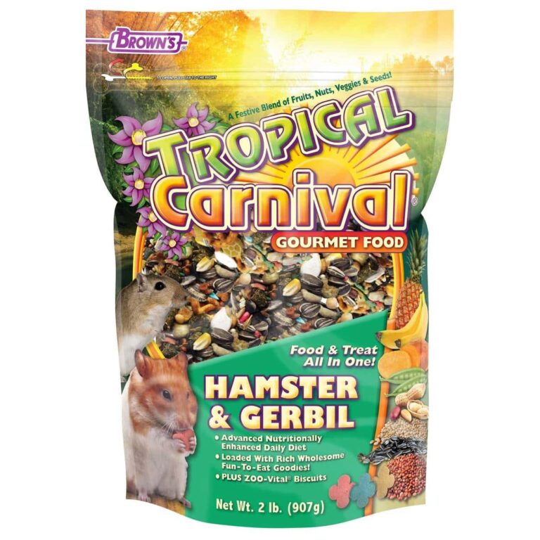 10 Best Gerbil Foods of 2026 - Reviews & Top Picks | The Vet Desk
