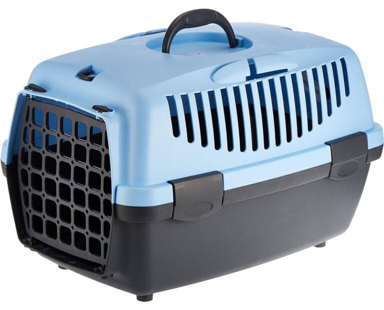 10 Best Rabbit Carriers in 2026 - Reviews & Guide | The Vet Desk