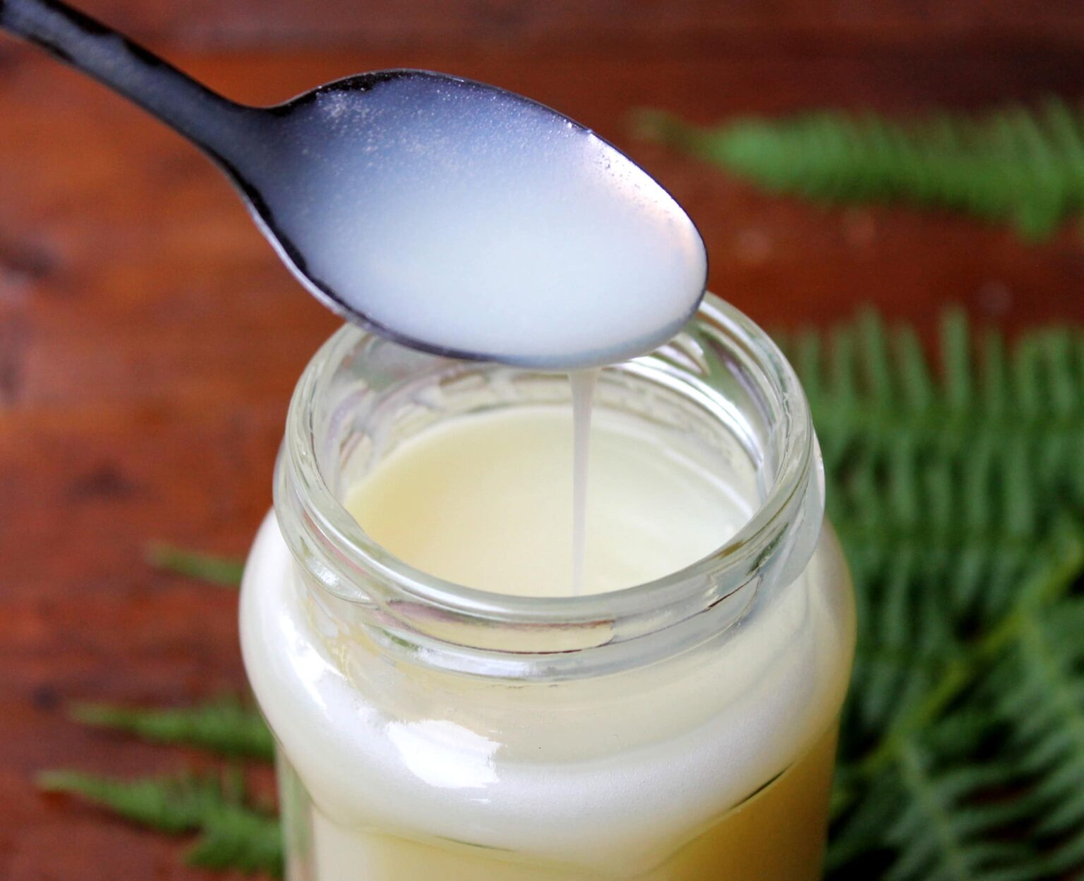 Can Cats Drink Evaporated Milk? Vet-Approved Risk, Facts, & FAQ | The ...