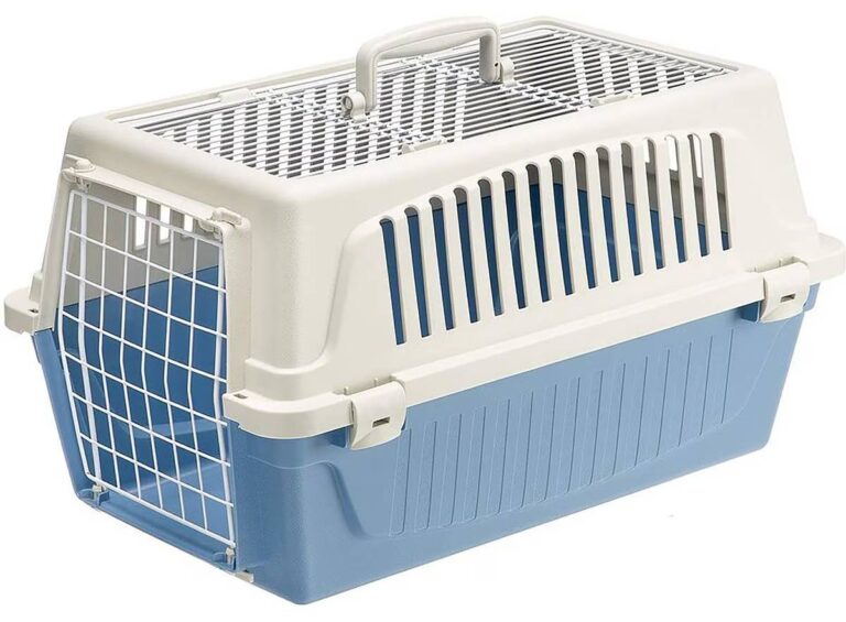 10 Best Rabbit Carriers in 2026 - Reviews & Guide | The Vet Desk