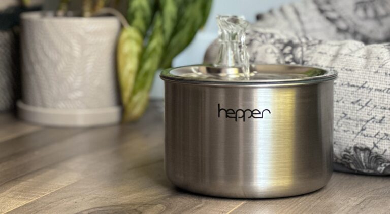 6 Best Stainless Steel Cat Water Fountains in 2026 - Reviews & Top ...