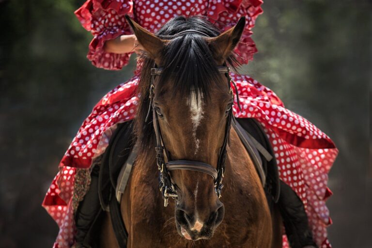11 Types of Horseback Riding Styles You'll Be Surprised to Learn | The ...
