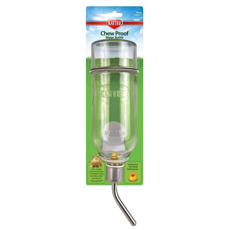 10 Best Rabbit Water Bottles of 2026 - Reviews & Guide | The Vet Desk