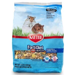 10 Best Gerbil Foods of 2025 - Reviews & Top Picks | The Vet Desk