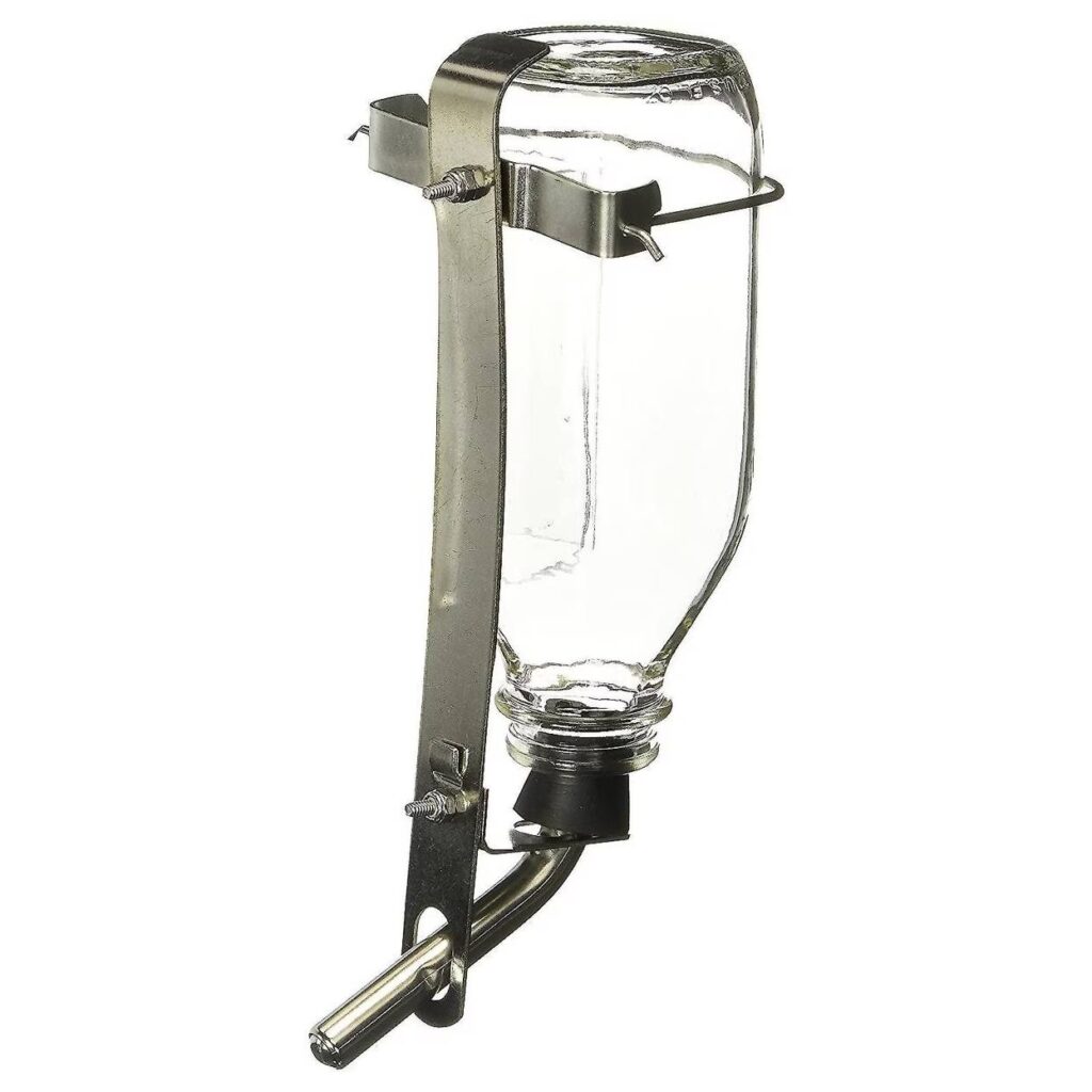 10 Best Rabbit Water Bottles of 2026 - Reviews & Guide | The Vet Desk