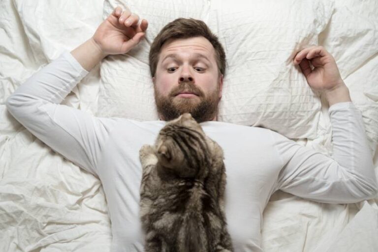 Why Do Cats Sit on Your Chest? 5 Vet-Verified Reasons | The Vet Desk