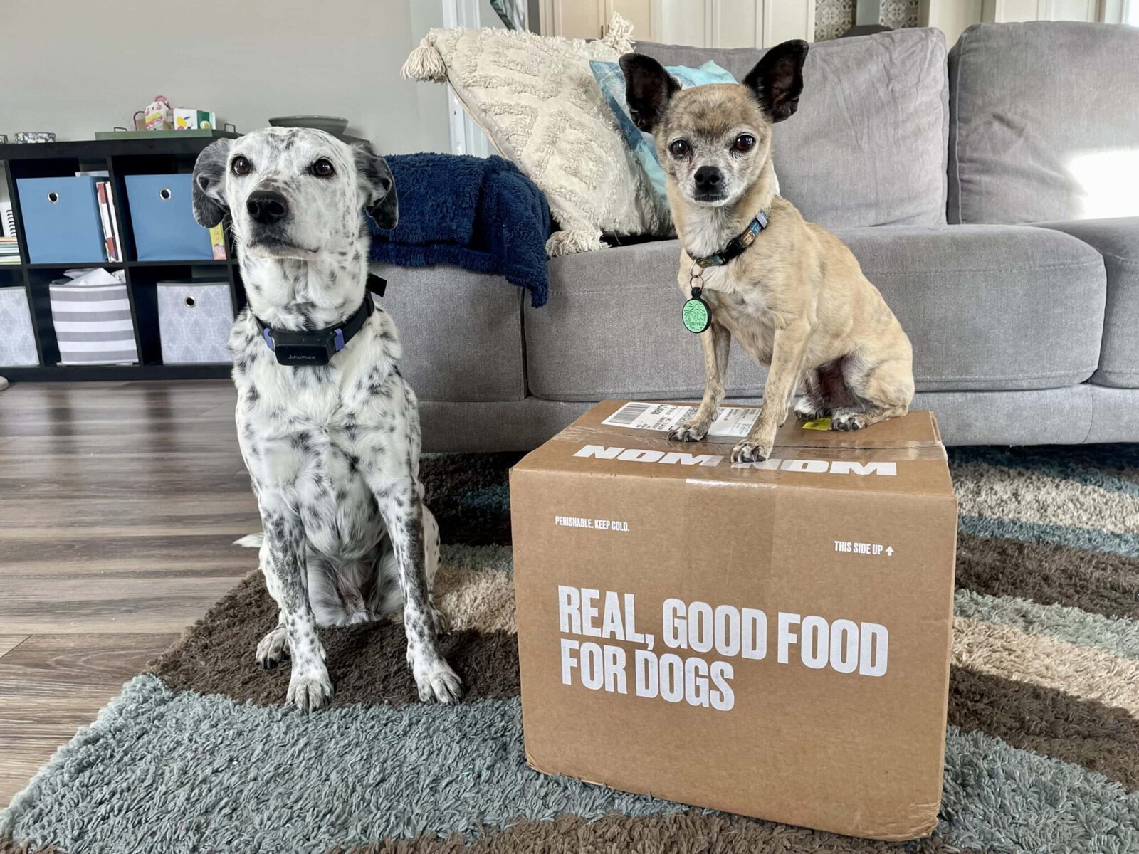 12 Best Dog Foods for Allergies in 2026 - Reviews & Top Picks | The Vet ...