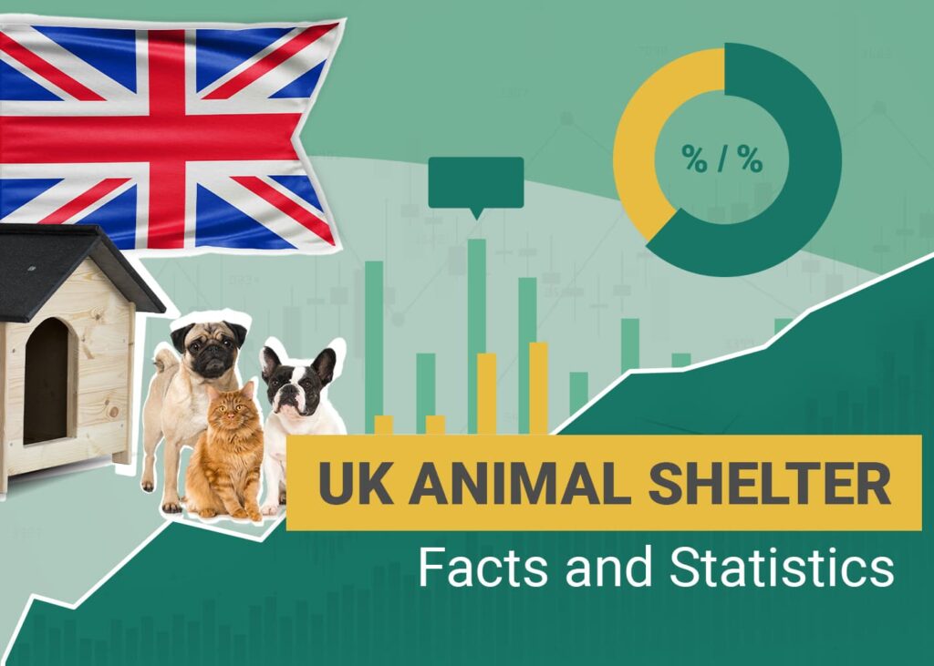 14 UK Animal Shelter Statistics & Facts to Know In 2026: Benefits ...
