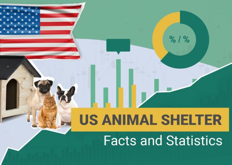8 Concerning Animal Shelter Euthanasia Statistics: 2025 Update | The ...