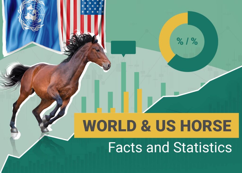 8 Concerning Animal Shelter Euthanasia Statistics: 2026 Update | The ...