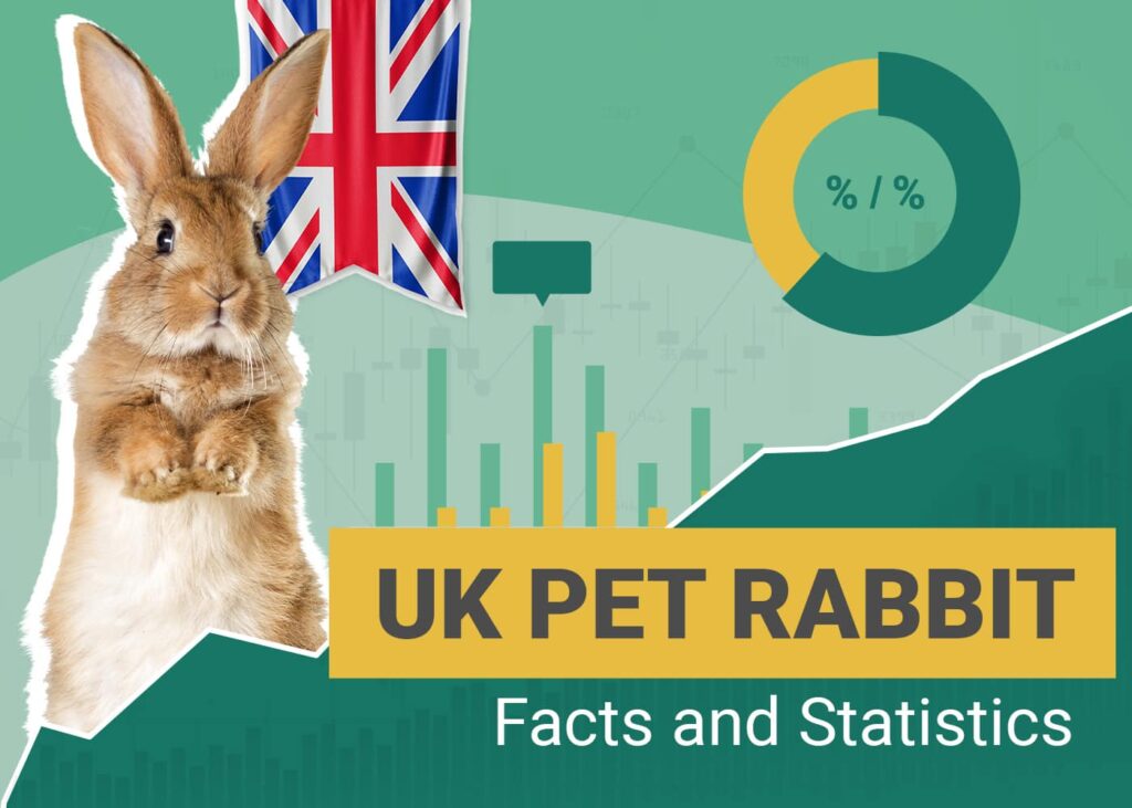 8 Concerning Animal Shelter Euthanasia Statistics: 2026 Update | The ...