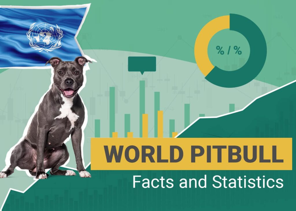 8 Concerning Animal Shelter Euthanasia Statistics: 2026 Update | The ...