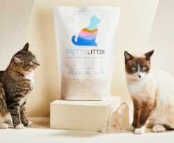 Pretty Litter Colors: How to Monitor Your Cat's Health (With ...
