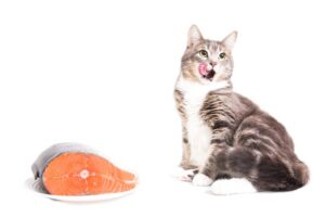 5 Natural Sources of Potassium for Cats (& How Much They Need Daily ...