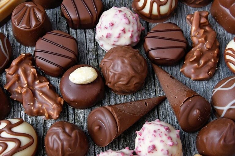 Why Chocolate Is Toxic to Dogs: Our Vet Explains | The Vet Desk